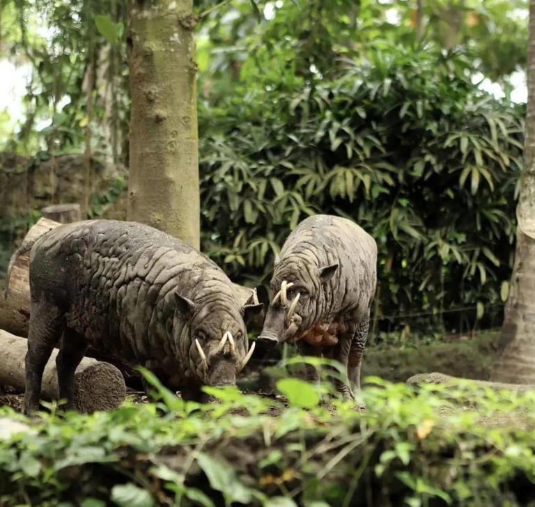 20 tempat wisata di Bali yang lagi hits dan harganya