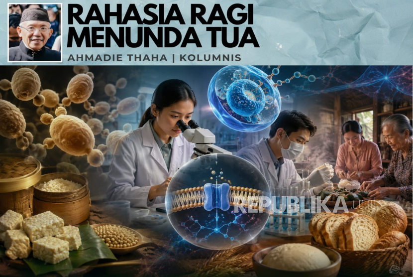Rahasia ragi menunda tua