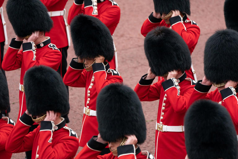 The raging debate about the iconic caps worn by King's Guards