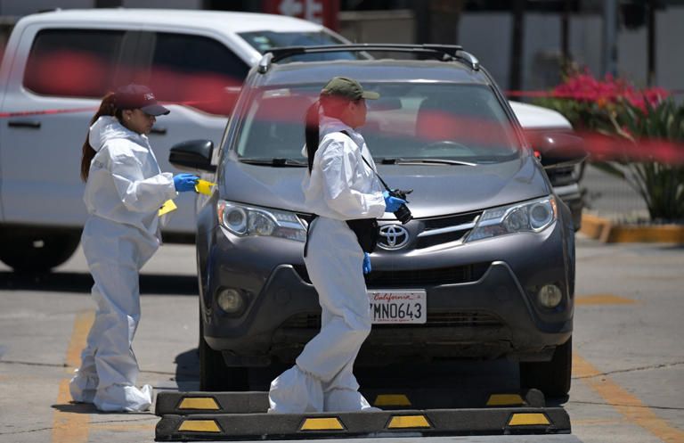Body found in bag outside Iran’s World Cup training centre days before ...
