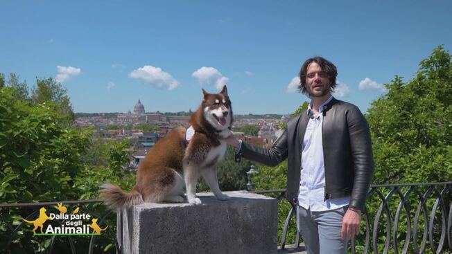 Brownie, l'amore di papà Giulio Berruti