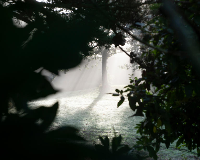 « L’Eau, comme la foudre » de Laure Pfeffer lu par Judith Soria, archiviste