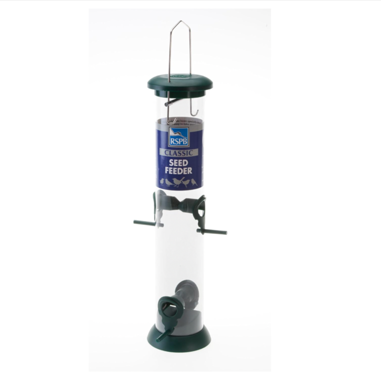5 places you should never put a bird feeder in a garden
