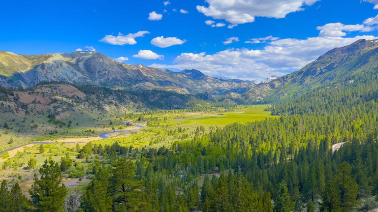Forget Yosemite, explore California's scenic drive with dramatic ...