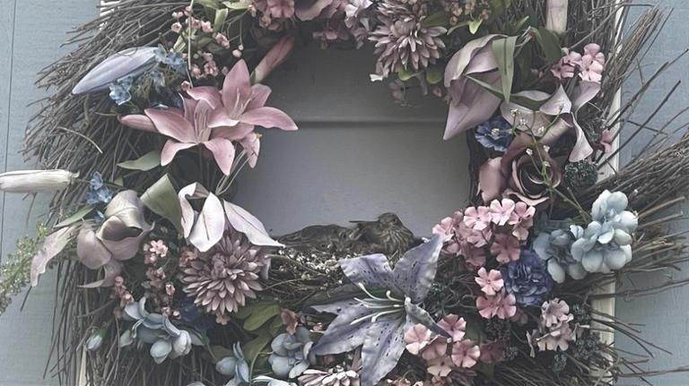 The overlooked solution to stop birds from nesting in your wreaths is ...