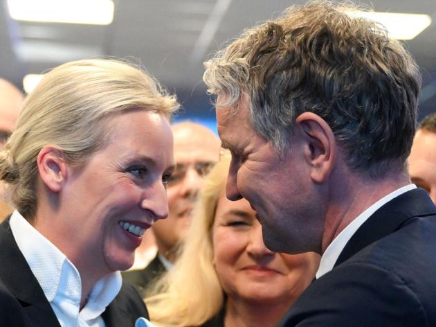 Höckes Machtspiel in der AfD: Vertrauter soll Vize werden – "Wechsle ...
