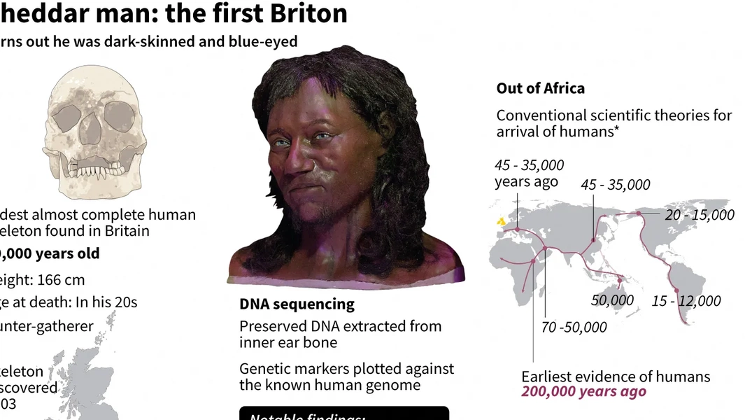 Ancient DNA and the evolution of European skin color