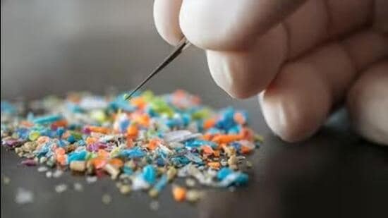 Scientifically speaking: Microplastics are inside us, but we can reduce ...