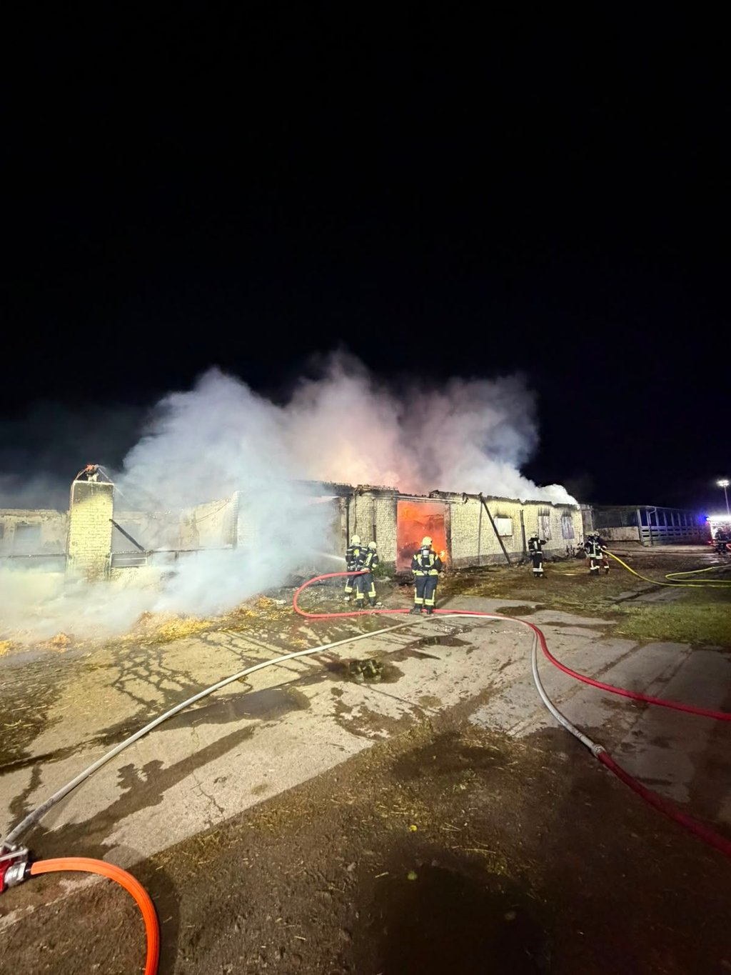 Verheerender Brand zerstört großen Stall: Sehr viele Rinder sterben ...