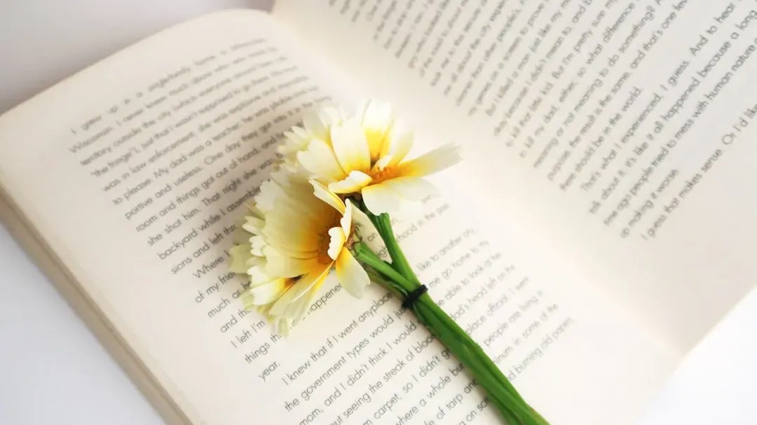 4 epic coming-of-age books you wish you read sooner