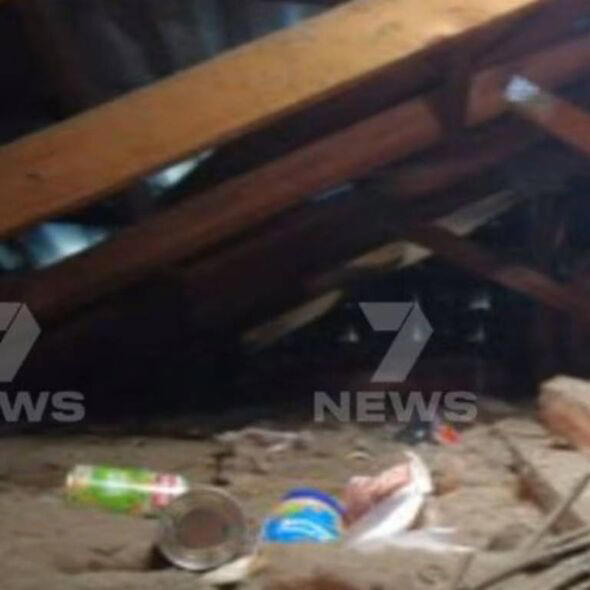 Gran frozen in fear after man discovered living in attic after chilling ...
