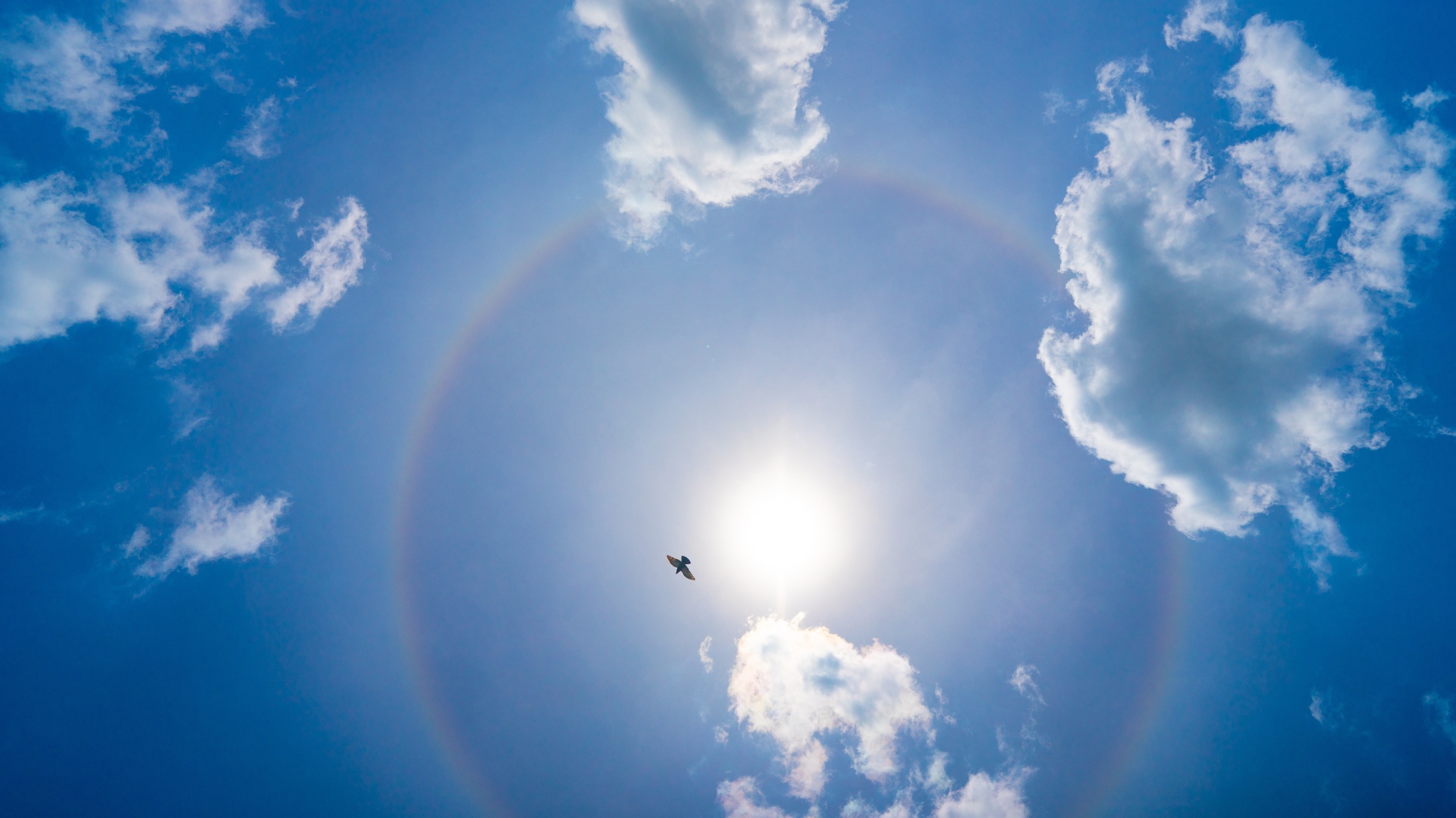 Celestial events in June 2026: from a Venus-Jupiter conjunction to ...