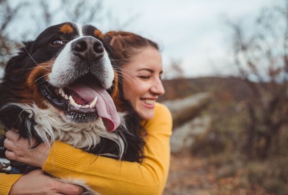 Dog owners only just realising what their pet is trying to say when it ...