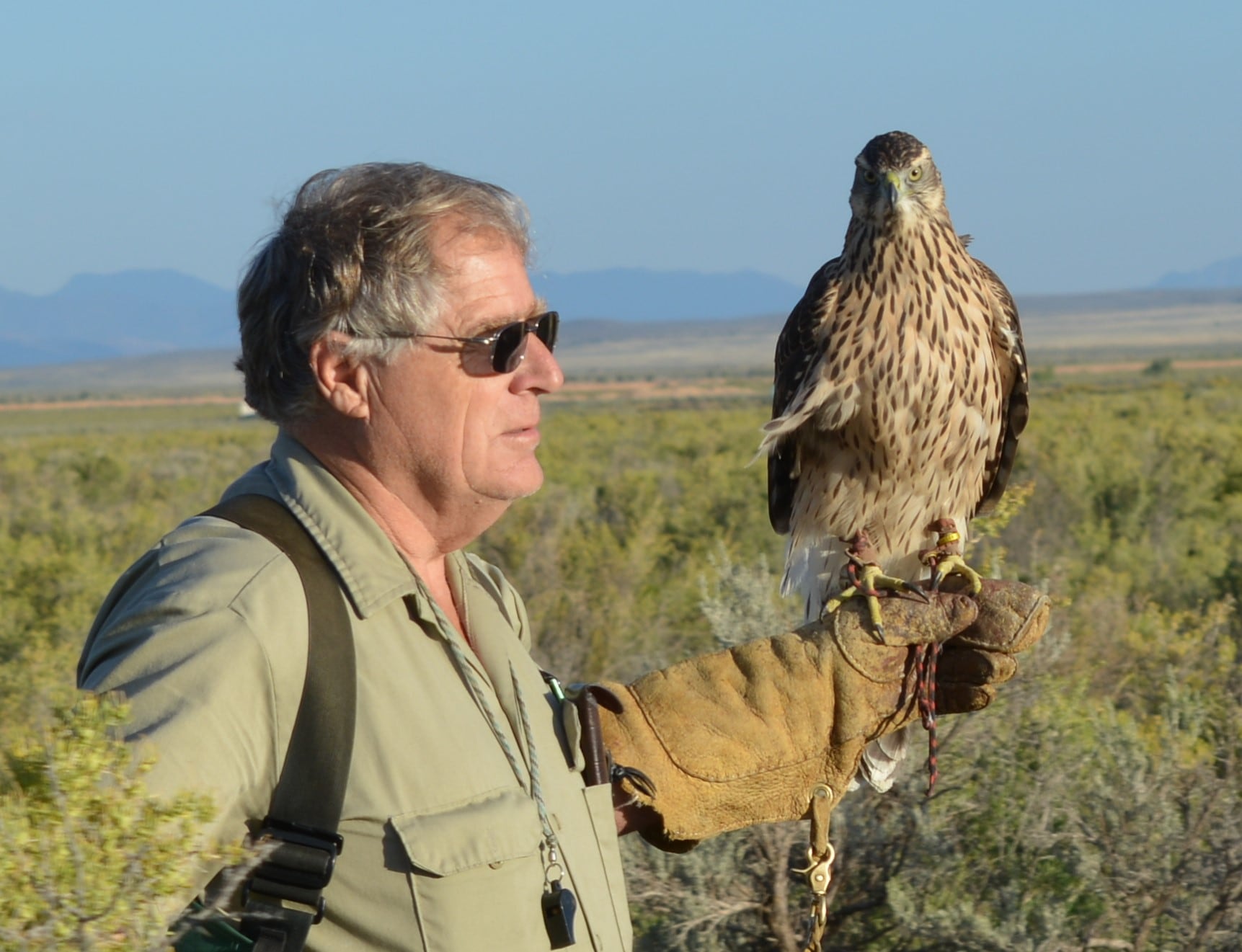Meet Utah’s ‘Eagle Man’ and Scout, his golden eagle best friend