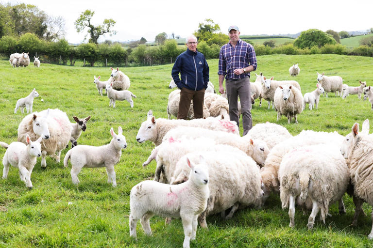 Stonebridge Farm: Heritage breeds, sustainable practices and farming ...