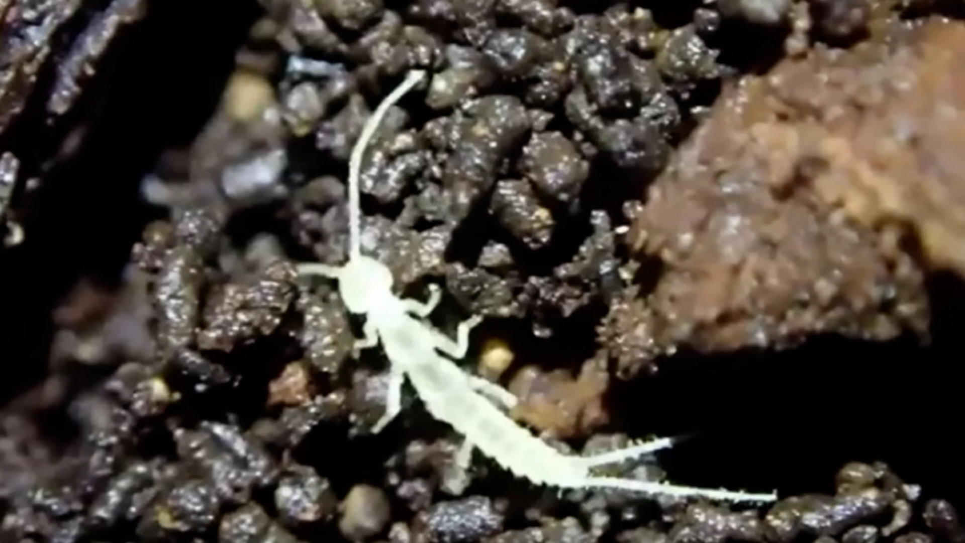 Discoveries pulled from deep underground that nobody fully understands