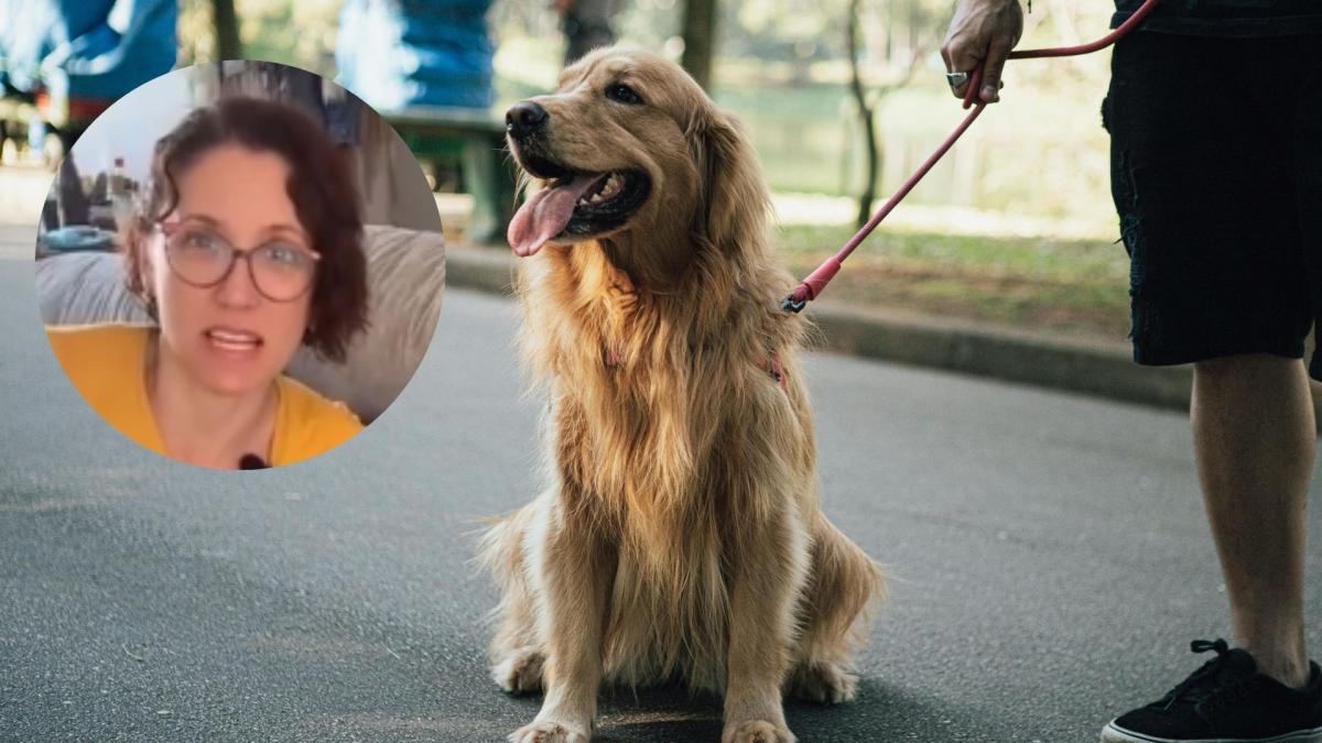 Paula Calvo, antrozoóloga: “Que un perro mueva la cola tras un paseo no ...