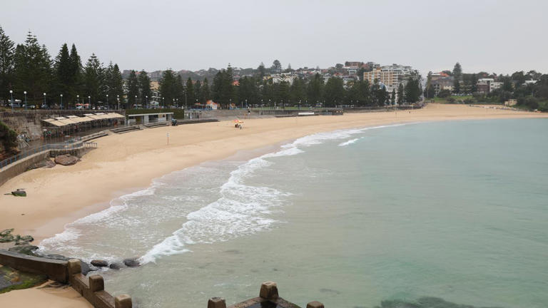 Huge move after Sydney shark attack