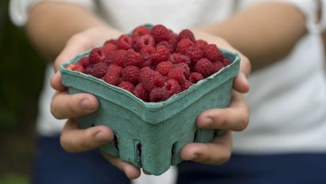 Proper storage tips for berries, cucumbers, and bell peppers