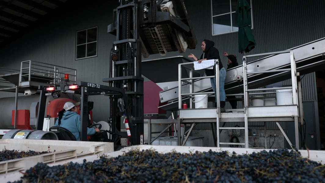 Economic and environmental shifts in Napa and Sonoma wines