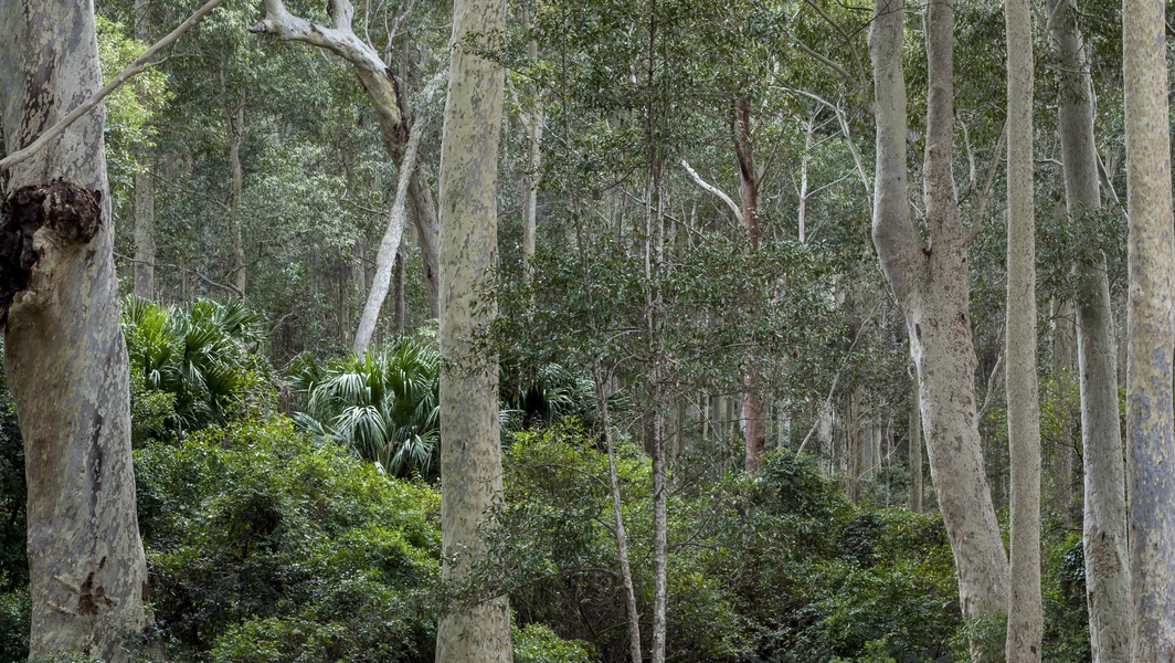 Zac Efron’s sustainable hemp home in Australia