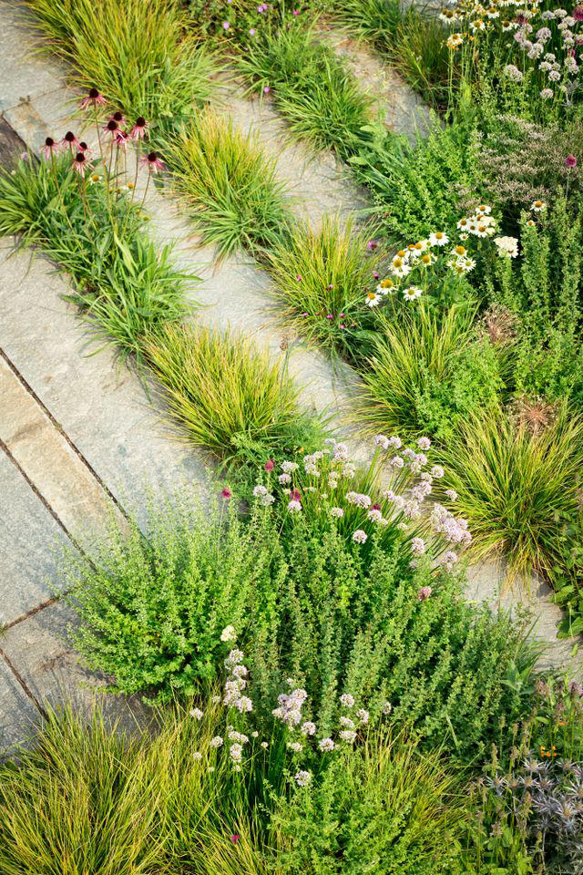 9 naturalistic garden design ideas for a backyard that feels relaxed ...