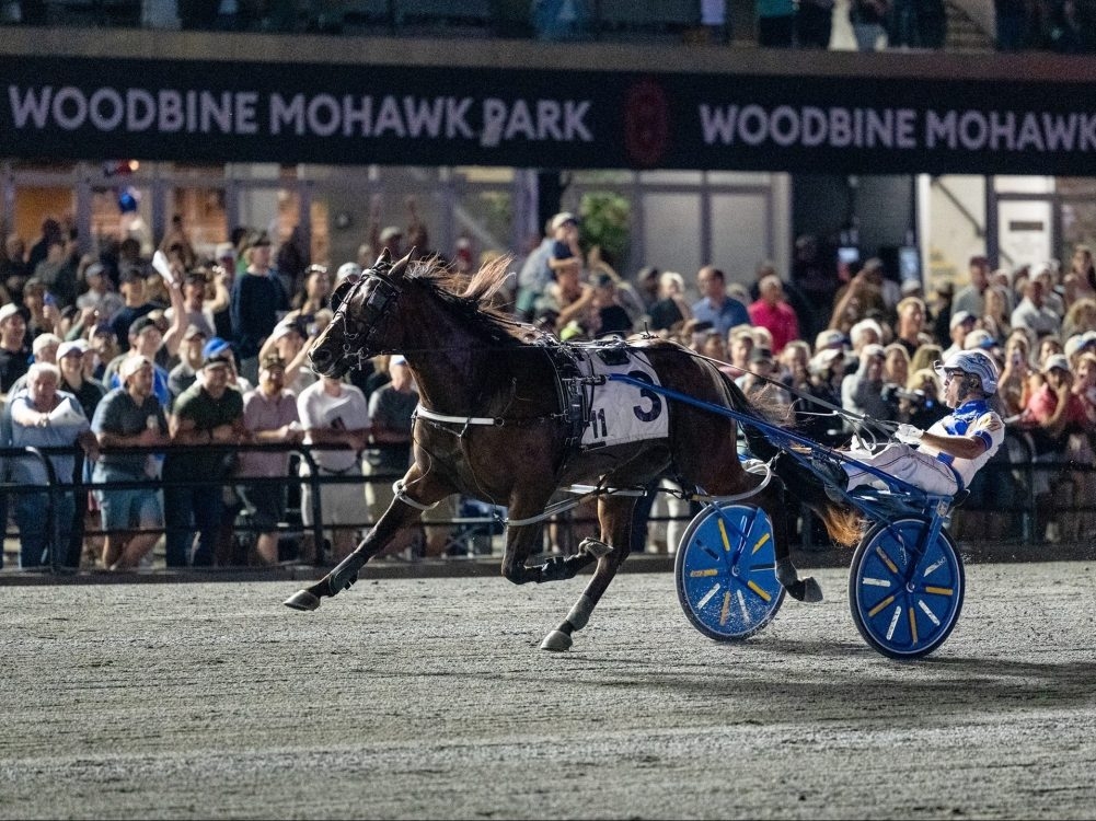 Odds On Mr Mamba wins $1-million North America Cup