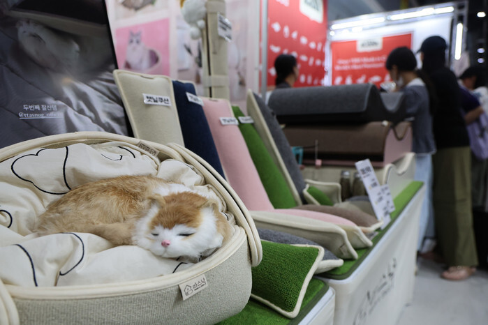 Cat goods fair