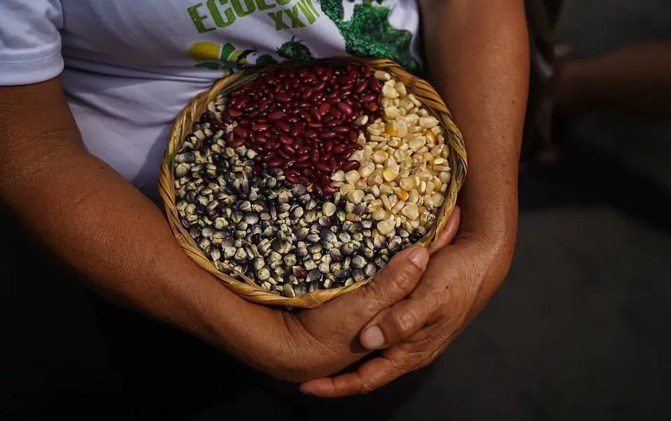 Why beans might be your heart’s best friend