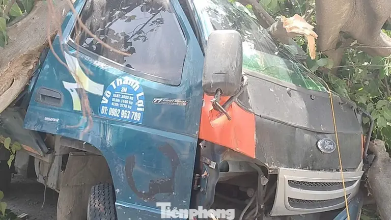 CLIP: Cây bồ đề 30 năm tuổi bất ngờ bật gốc đè xe tải ở TPHCM