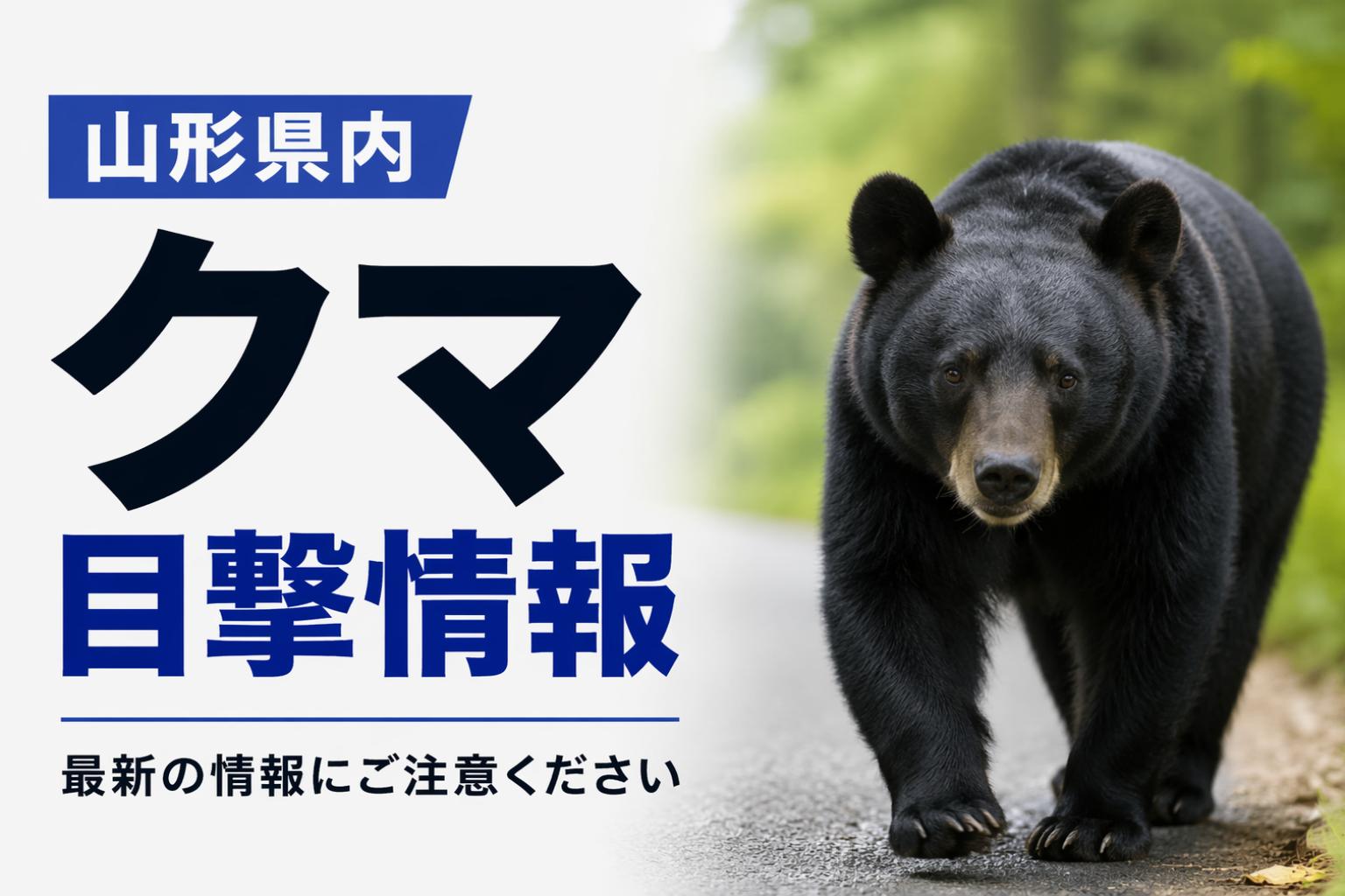 【河北町】西里でクマ1頭目撃