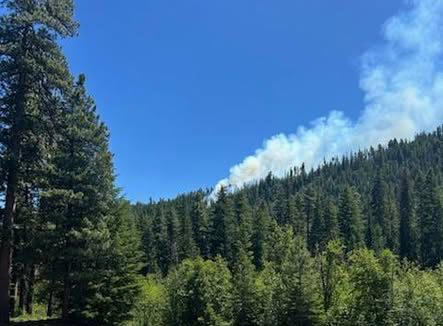 Aircraft out of Miramar has 'mishap' crash near Seattle, sparks brush fire