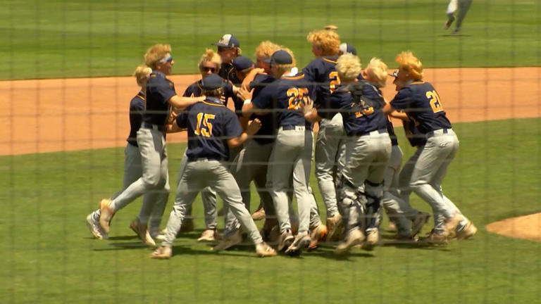 Averill Park baseball powers past Plainedge for Class A state championship