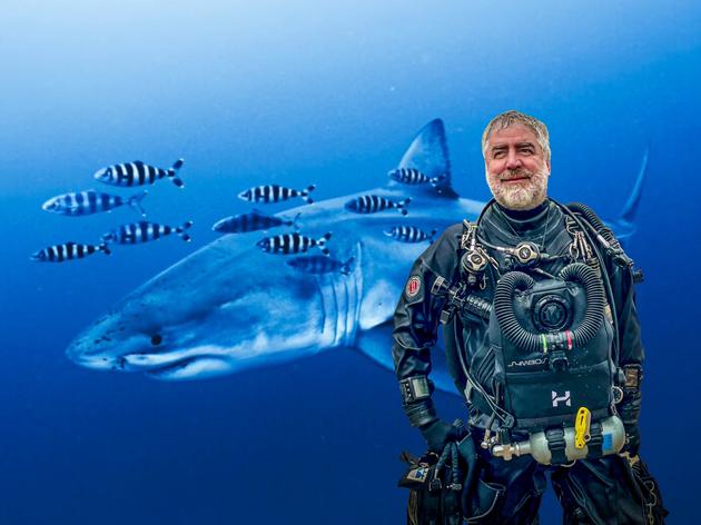 Weißer Hai im Mittelmeer: NRW-Taucher verrät unheimliches Gefühl ...