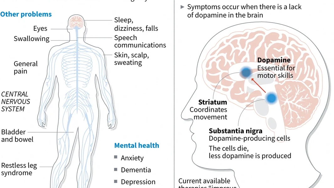 Japan's advances in regenerative neurological therapies