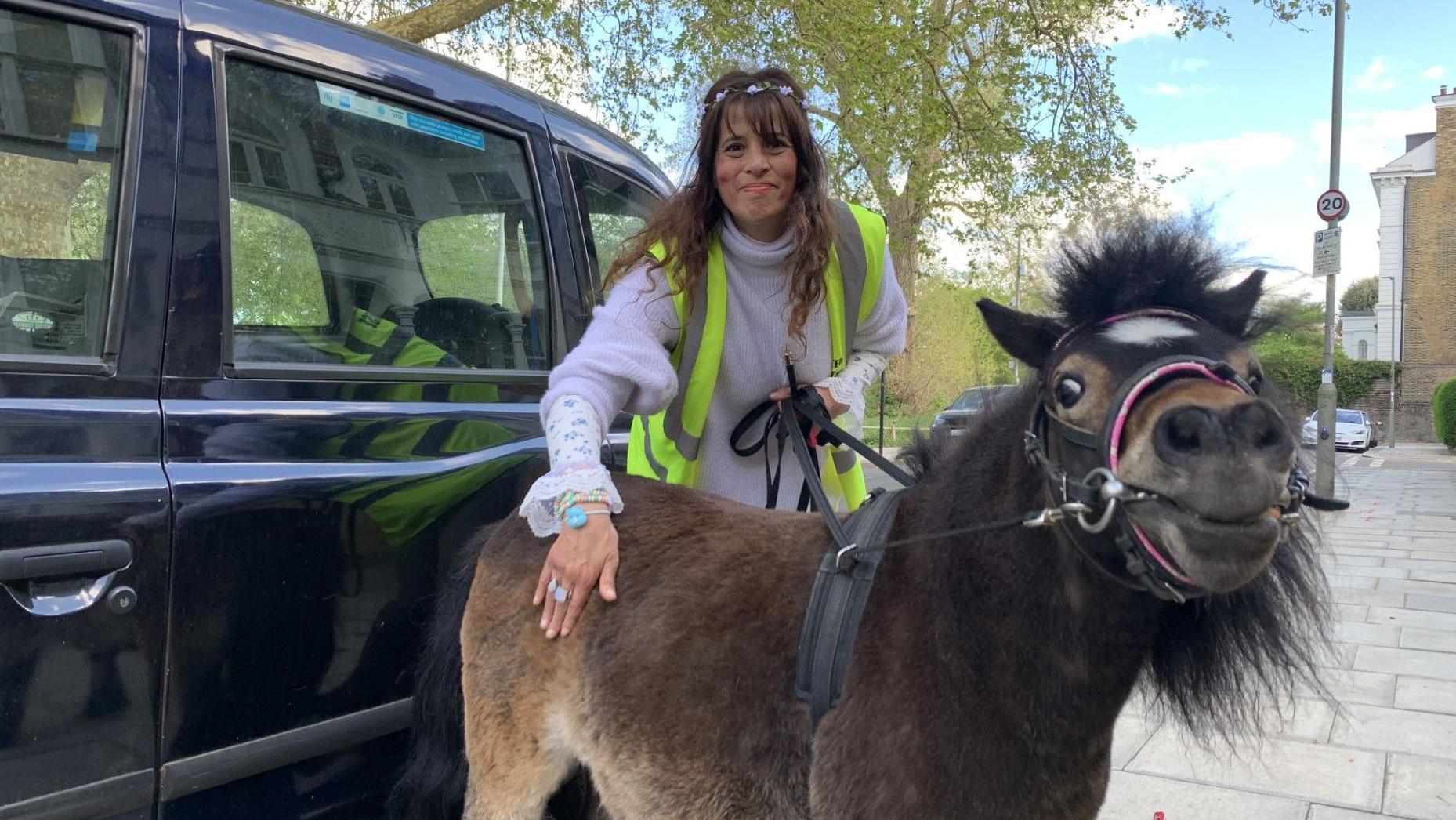'He's a life saver': The miniature therapy horse that travels by taxi