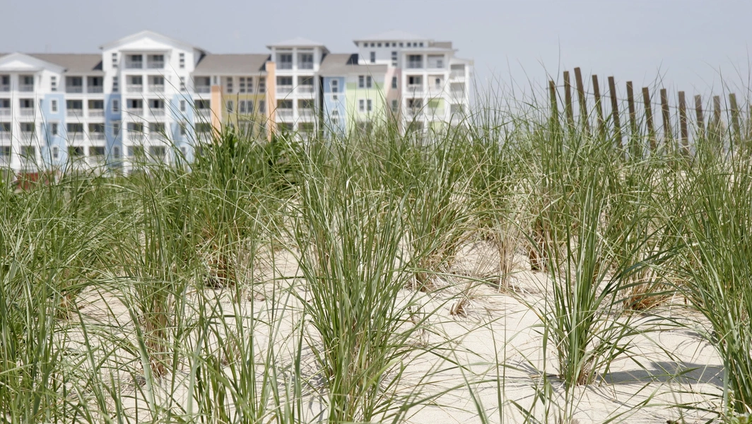 Exploring Sandbridge and Virginia Beach's natural escapes