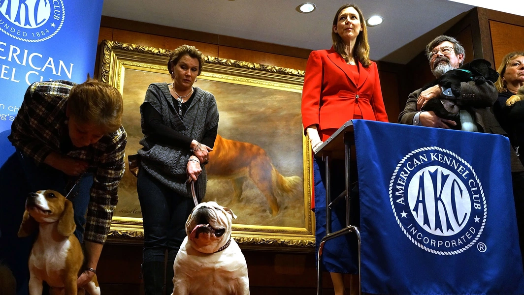 10 most popular dog breeds in the United States