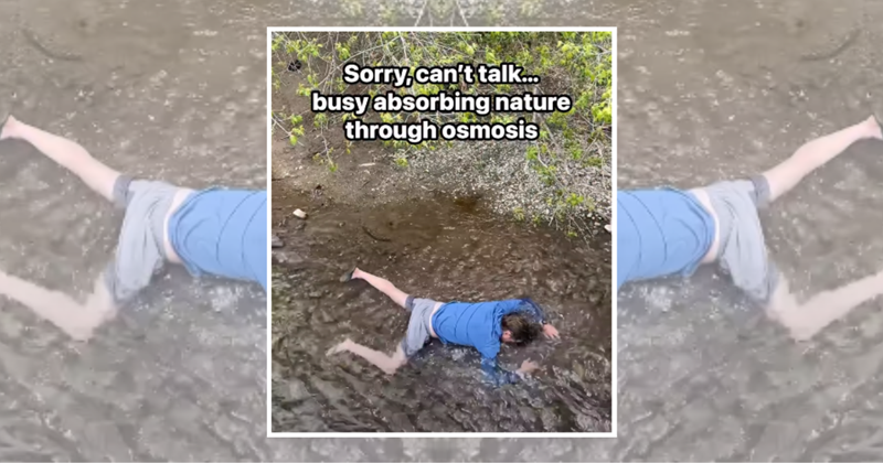 'Go touch some grass': 29 memes filled with fresh oxygen for outdoor people