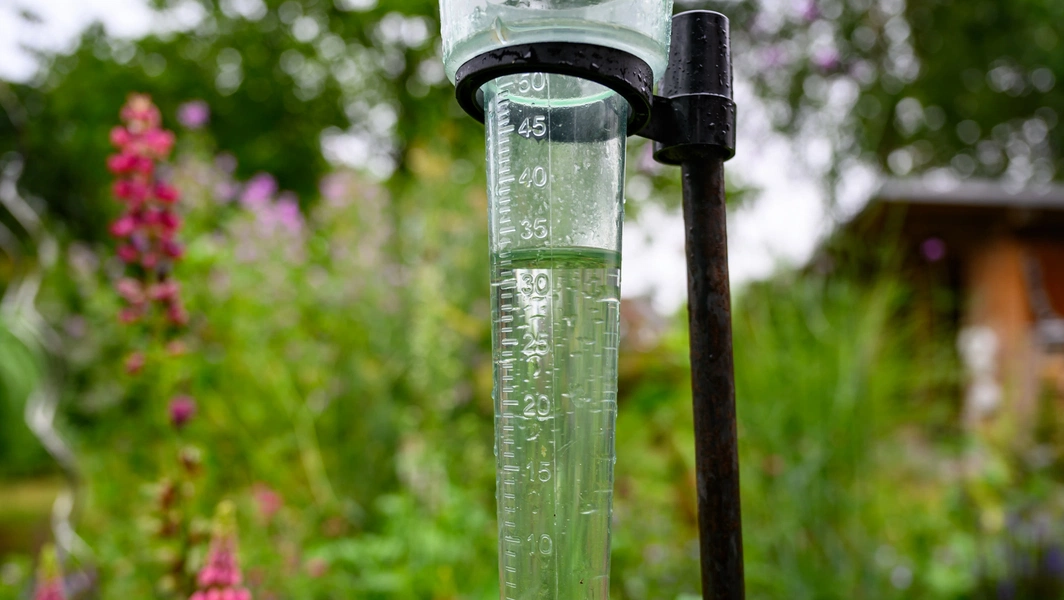Efficient lawn watering for healthier grass