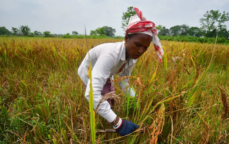 India marks food self-sufficiency as BRICS adopts farm pact