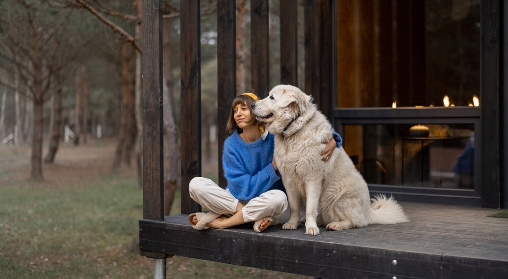 Is buying a cottage your best path into Canada's housing market in 2026 ...