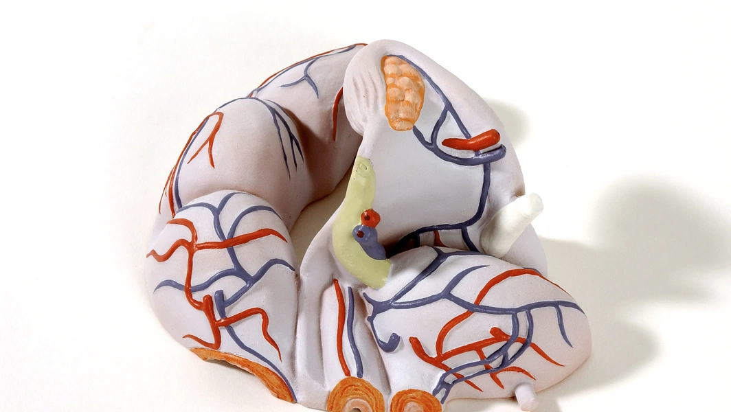 Comprehensive pelvic floor therapy and recovery