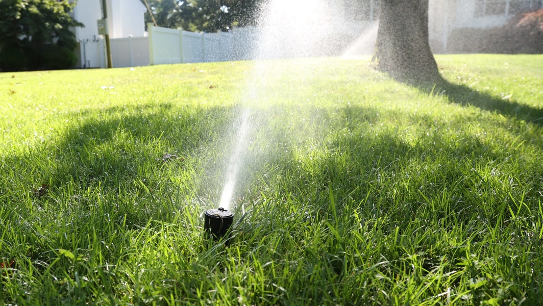 How to water your lawn for healthier grass