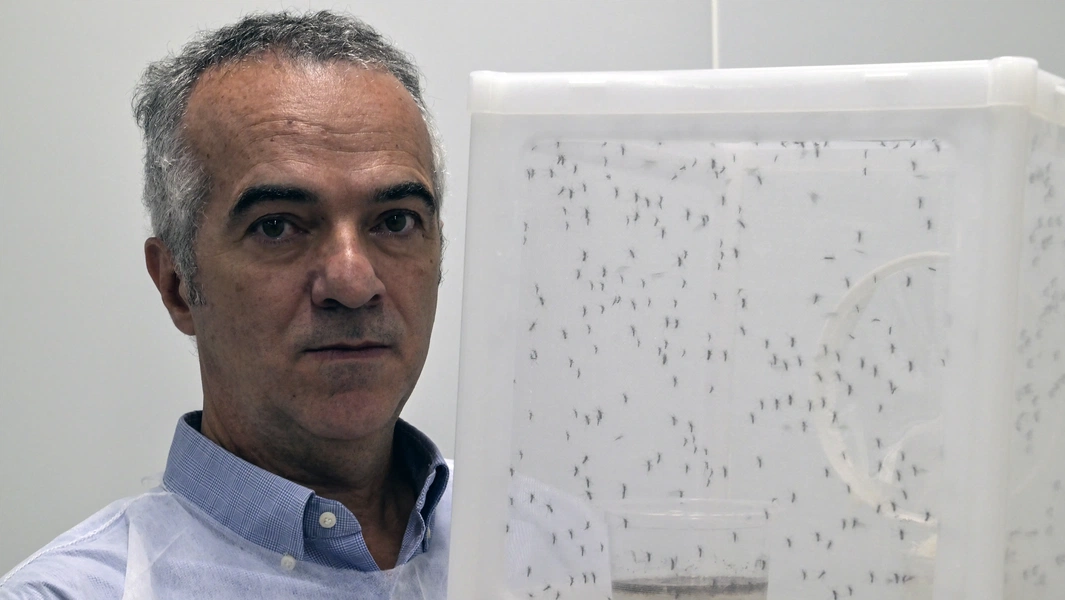 How deforestation drives mosquitoes to bite humans