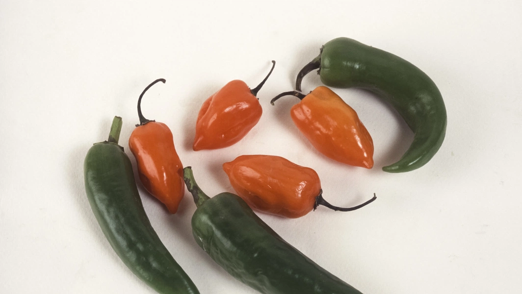 6 items you should never put in a microwave