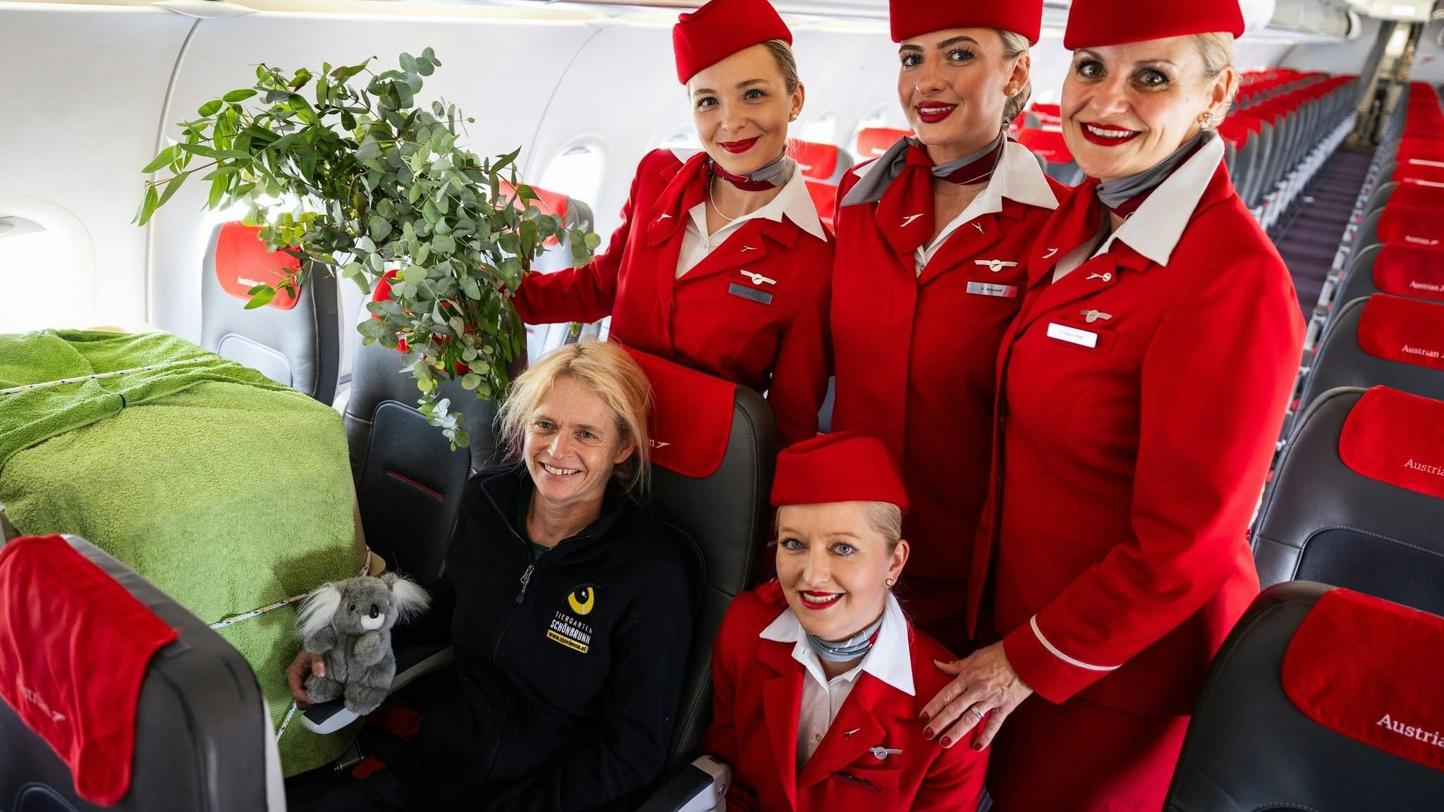 Darum roch es im AUA-Flieger so schön nach Eukalyptus