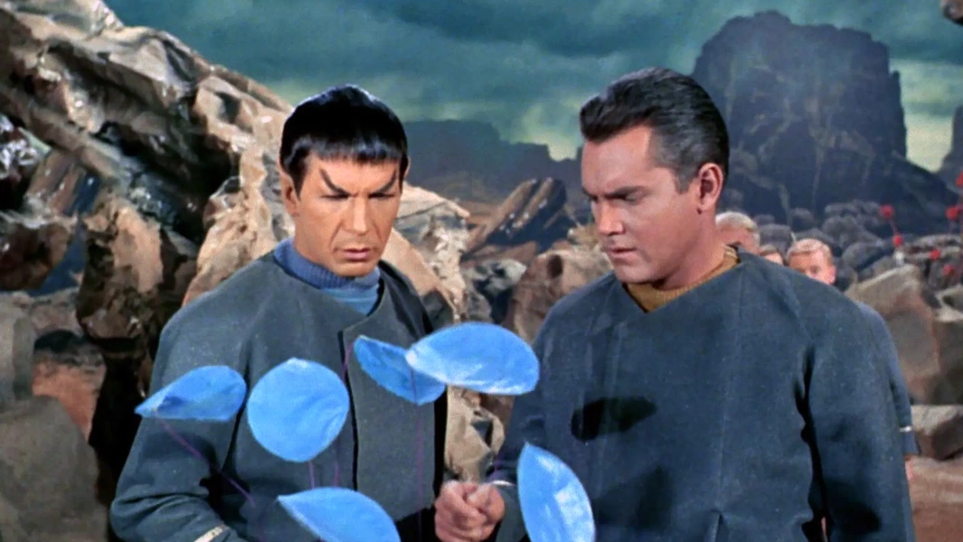 4 times Spock defied rules and relationships