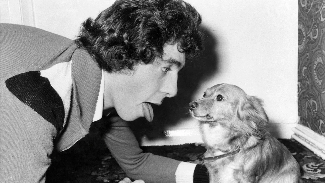 How dogs learn and understand human words
