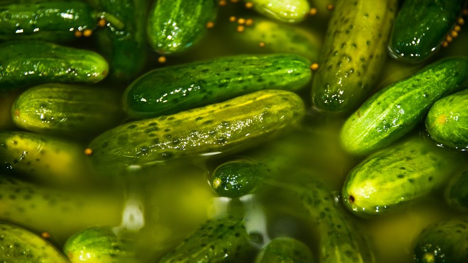 Pickle is the pumpkin spice of summer